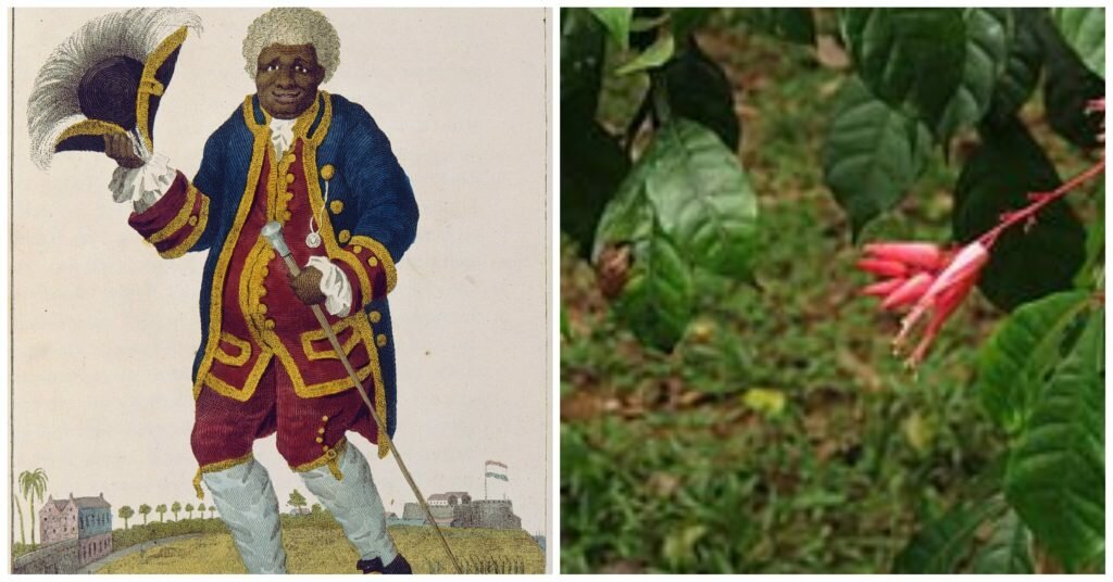 Graman Quassi, discoverer of Quassia Tonic - Ghanaian Museum